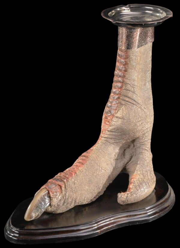 OSTRICH Taxidermy South Africa | Get OSTRICH Trophy Quote