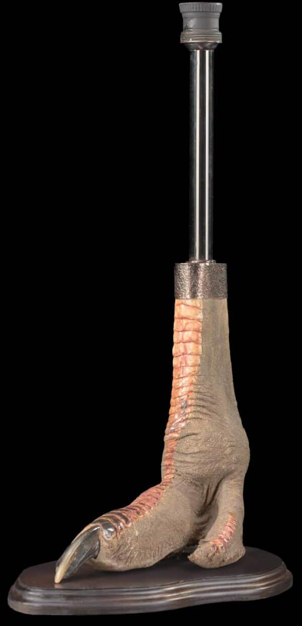 OSTRICH Taxidermy South Africa | Get OSTRICH Trophy Quote