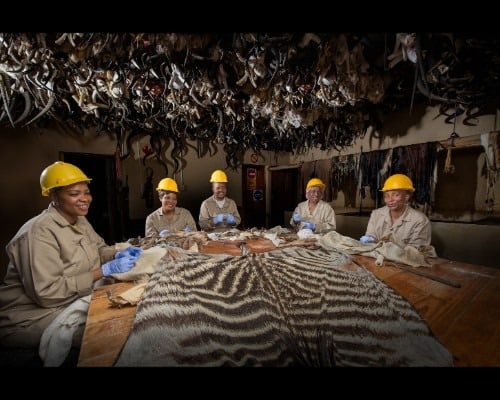 The Taxidermy Process | How Animal Taxidermy Works
