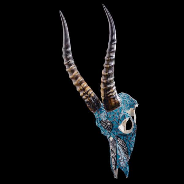 Best BONTEBOK Taxidermy South Africa | BONTEBOK Trophy Quote
